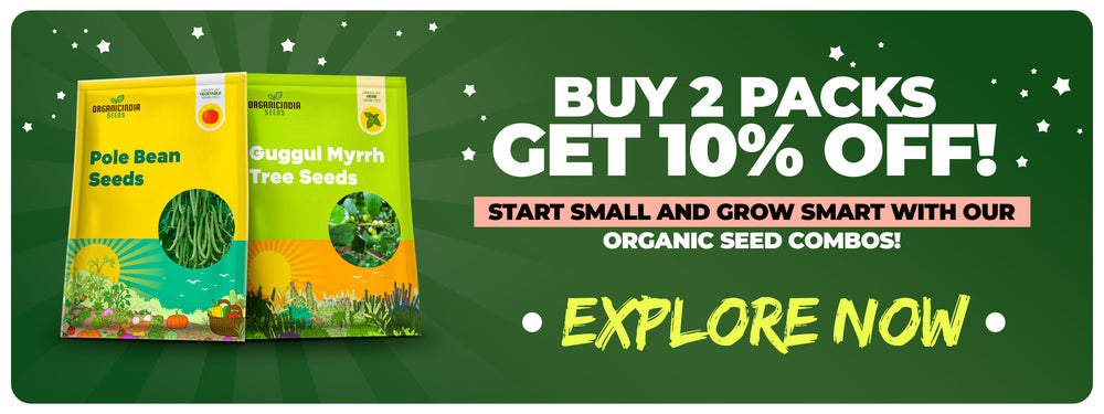 Go to item 1 Go to item 2 Go to item 3 Go to item 4