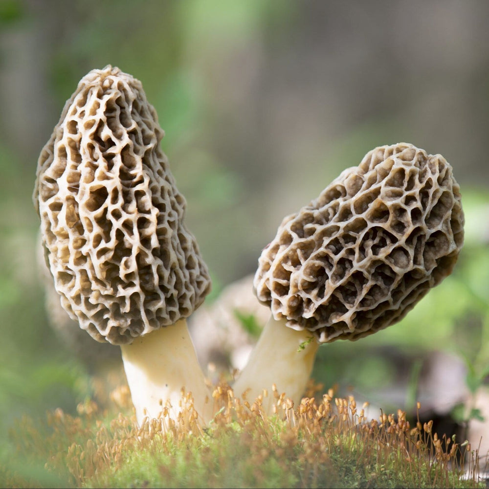 We use cookies and similar technologies to provide the best experience ...