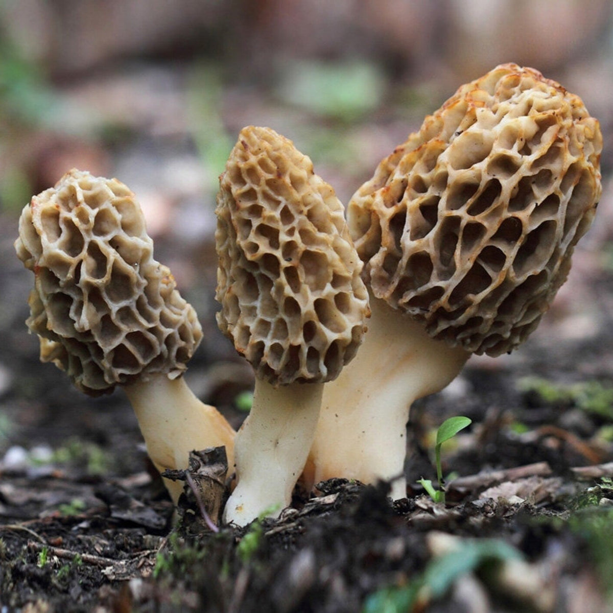 We use cookies and similar technologies to provide the best experience ...